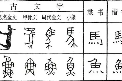 字的由来与演变「推荐关于字的来历和演变过程」 - 寂寞网